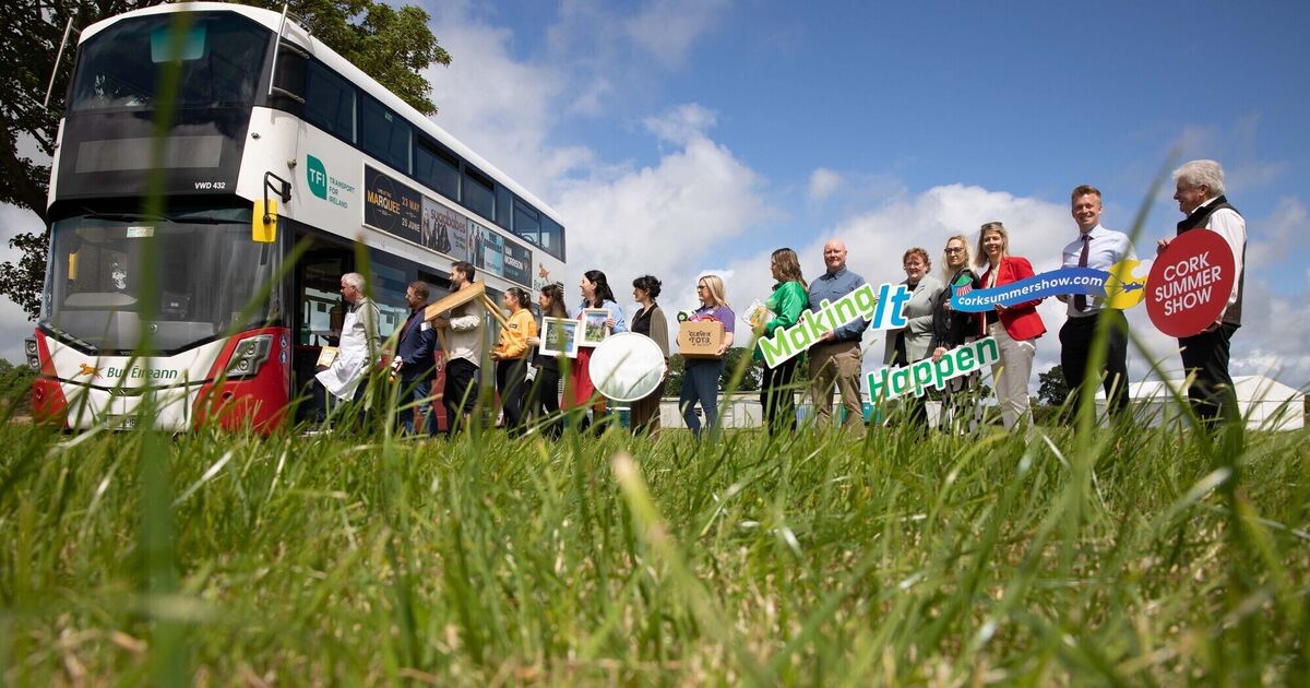 Visitors to Cork Summer show urged 'take the easy road' and use public ...