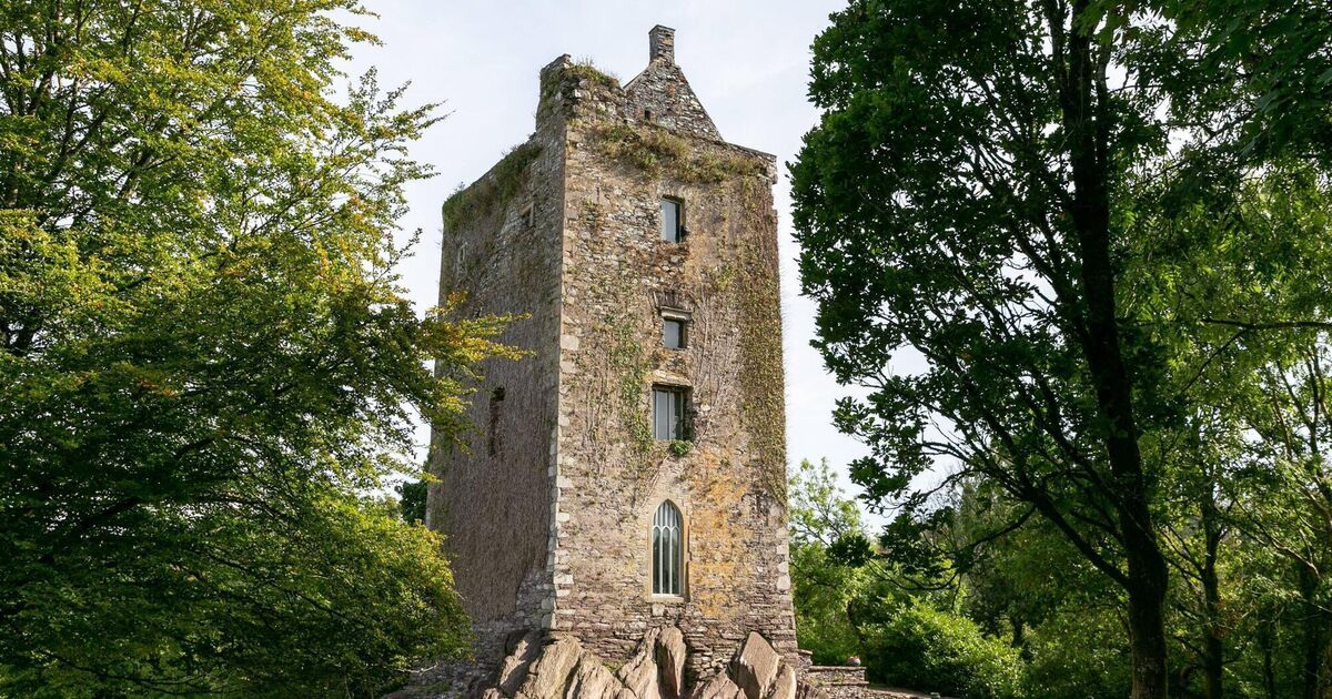 In the Garden: Cork castle and mansion are in great hands