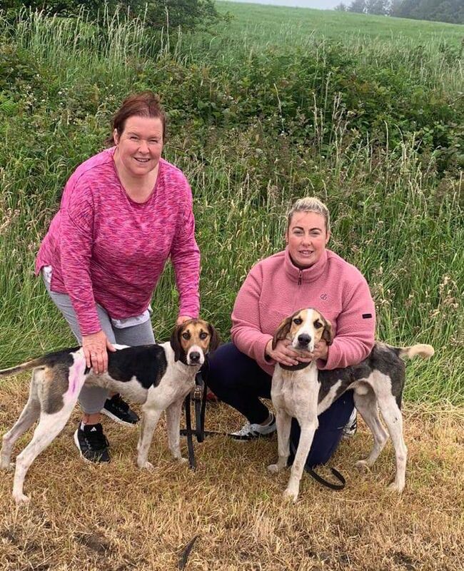 Cork Draghunting: Slievemish Bounce secures first senior trophy