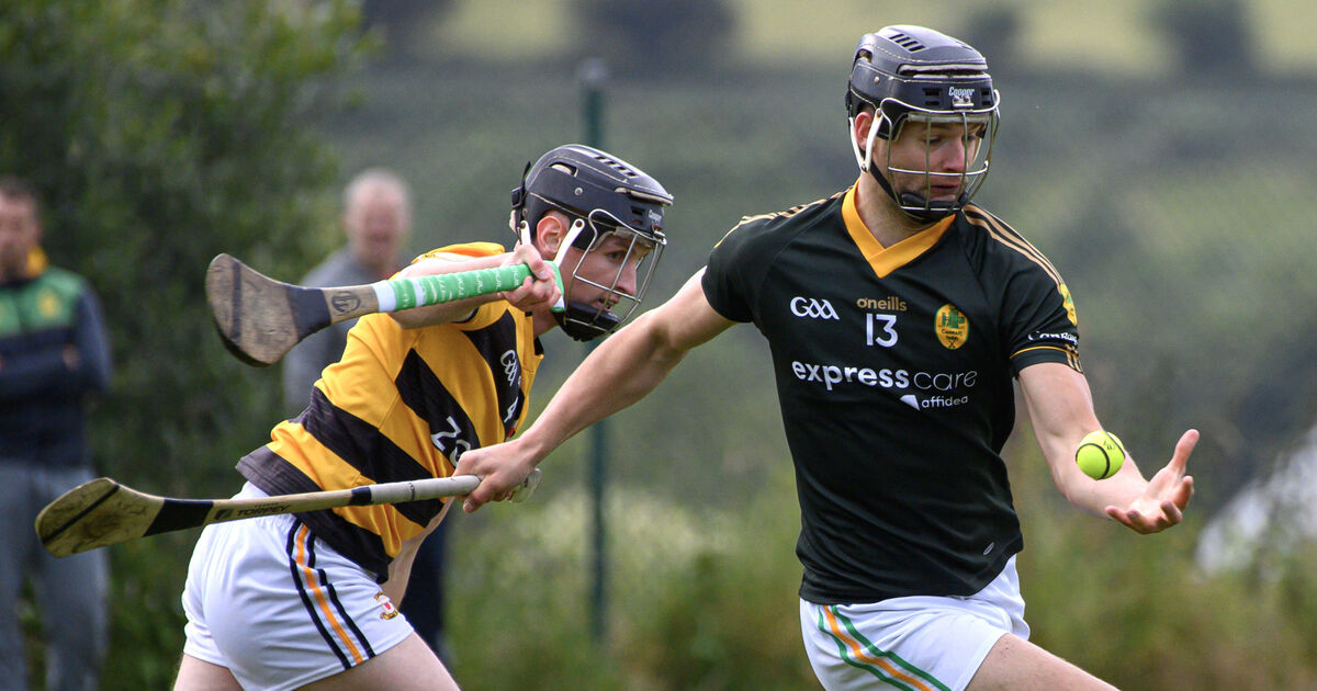 Clinical Blackrock relegate Na Piarsaigh and stay in contention for ...