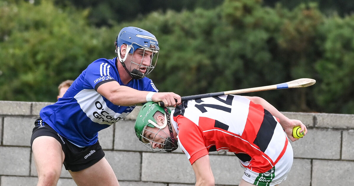 Sarsfields through to RedFM Division 1 Hurling League final after ...