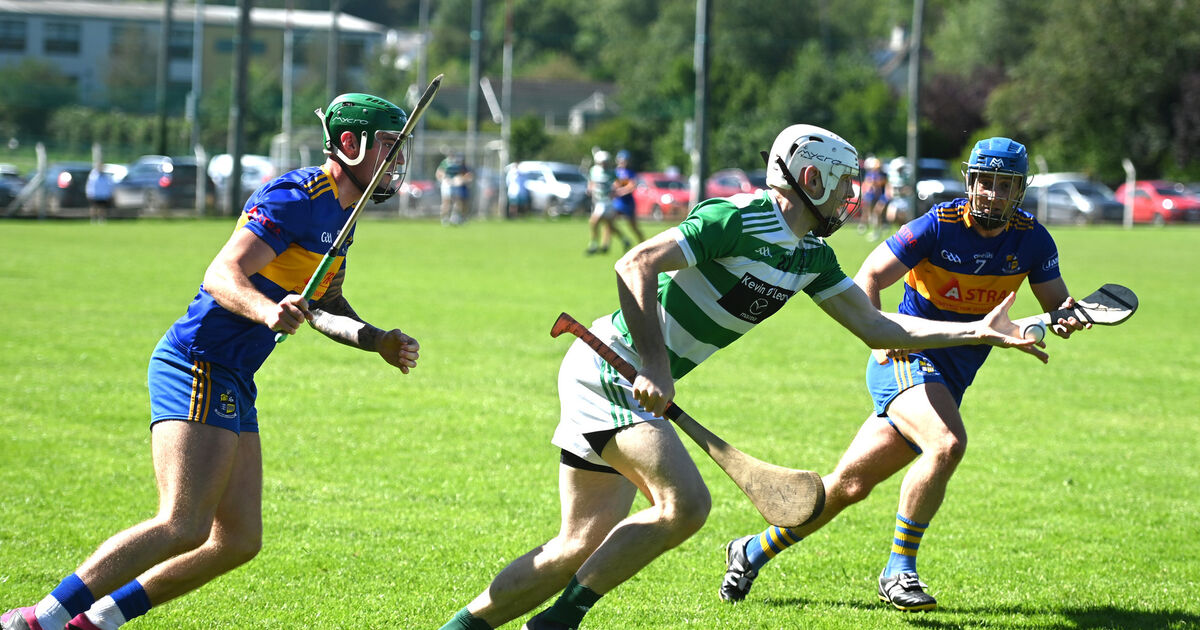 Valley Rovers hurlers grab three goals to beat Ballymartle and secure ...