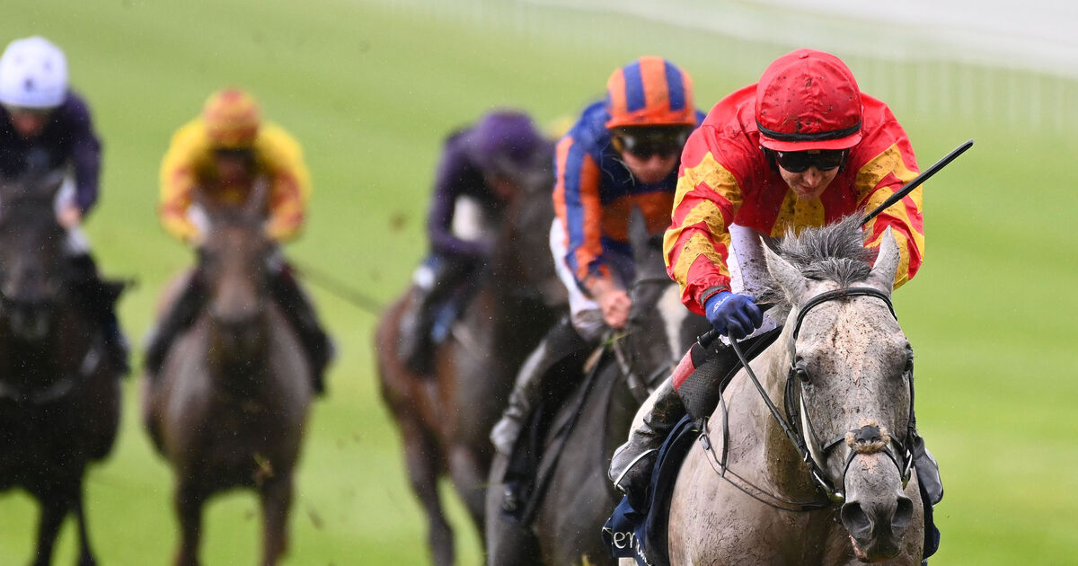 Exciting night of racing taking place in Cork tonight with all the top ...