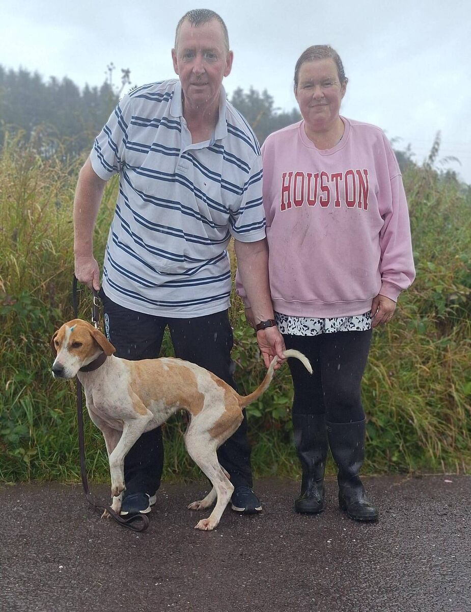 Blue Daisy of Southern/Carrigaline Harriers wins the Peter Barrett ...