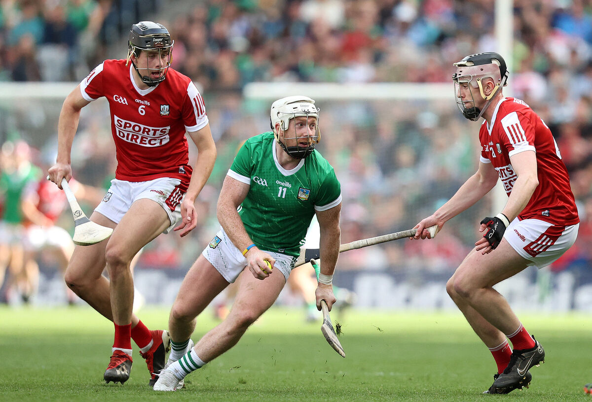 John Horgan: There can never be the absolute complete performance but ...