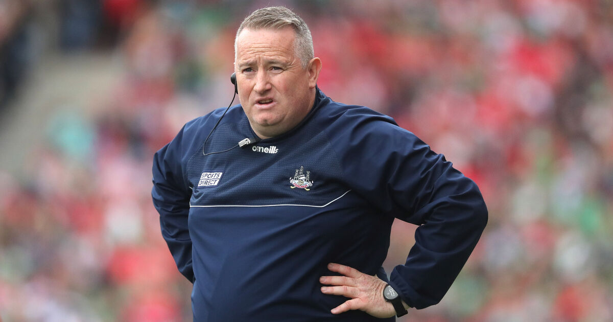 Pat Ryan has brought calmness and steel to the Cork hurling team