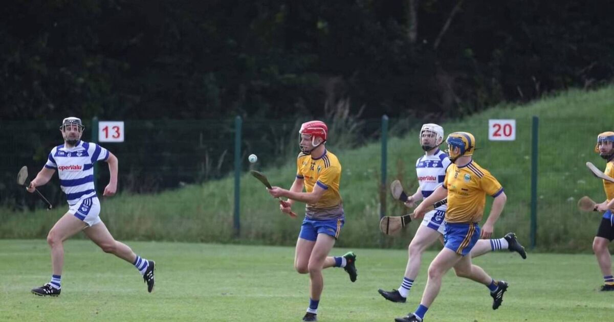 Grenagh aim to win back Muskerry Division 1 HL title when they face old ...