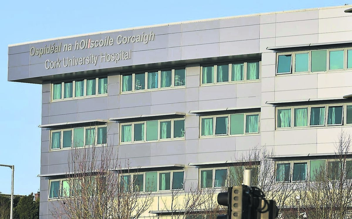 Construction update: Development across the cityscape in 2024