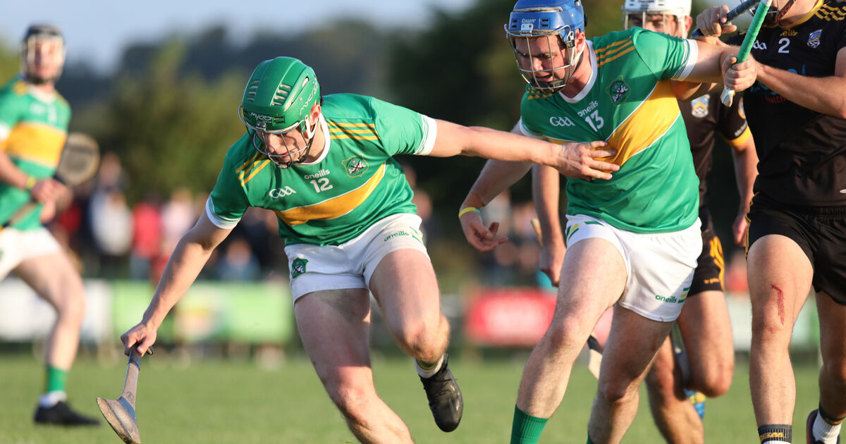 Brendan Hoare pleased as Castlelyons get off on the right foot in ...