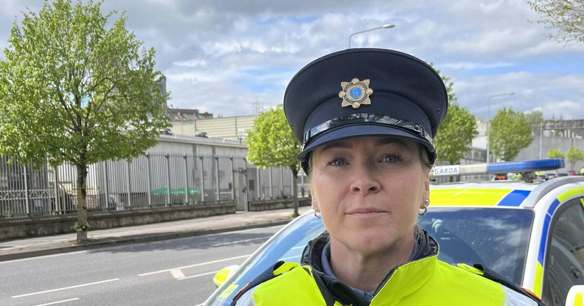 New careless driving reporting system a 'positive progression', says ...