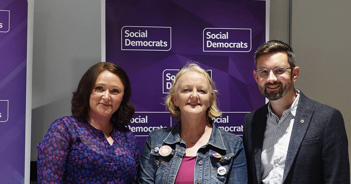 Social Democrats select Pádraig Rice to run in Cork South Central at ...