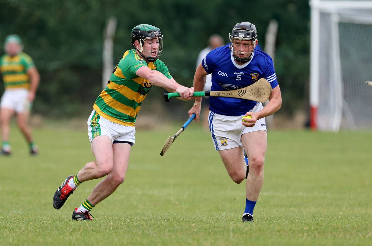 PIHC: Ballinhassig power past Ballymartle with Cork keeper Patrick ...