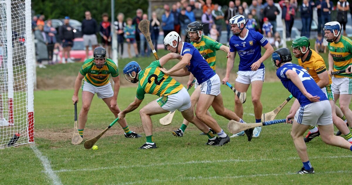 PIHC: Ballinhassig power past Ballymartle with Cork keeper Patrick ...