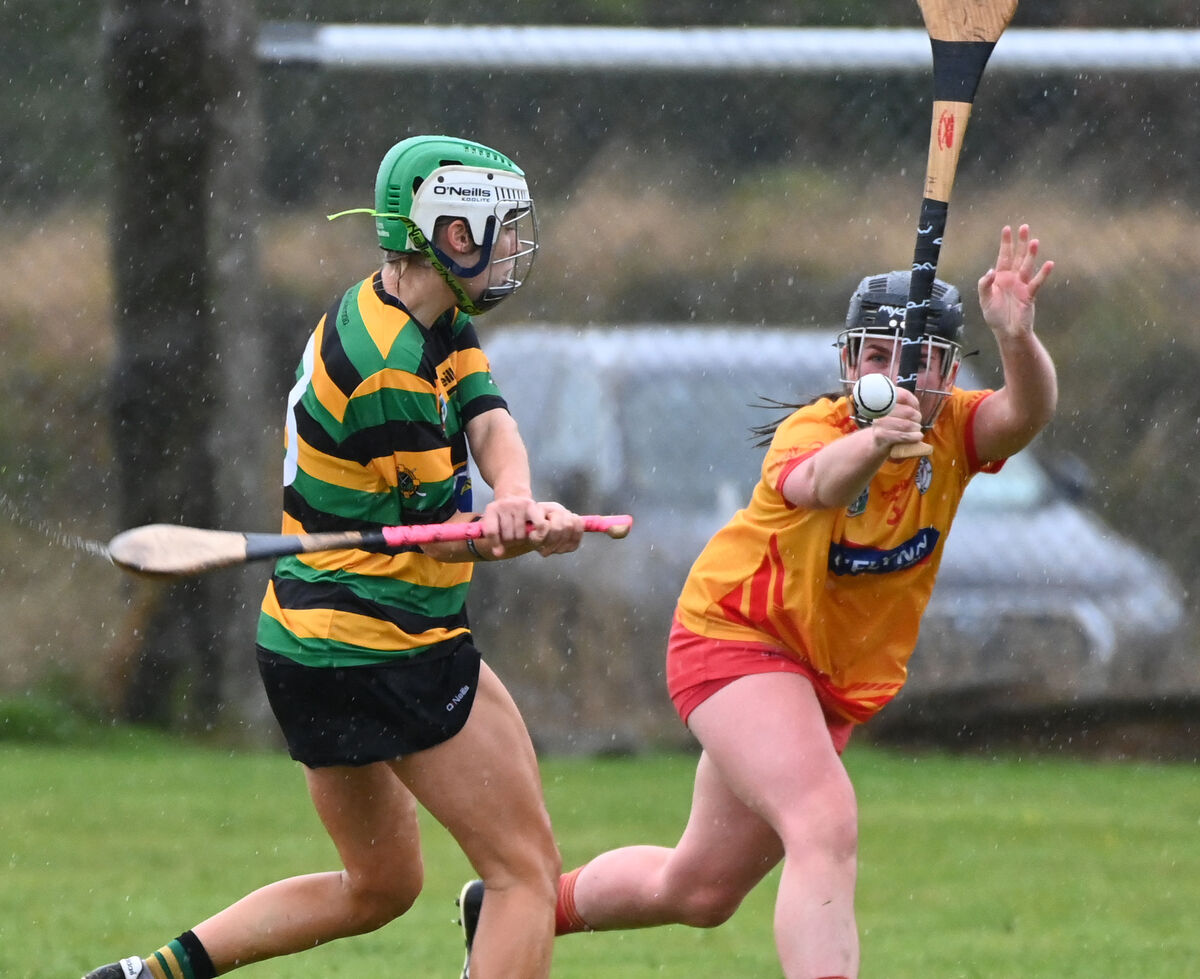 Cork club camogie preview: Killeagh and Sarsfields clash will go down ...