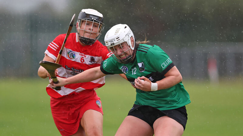Cork club camogie preview: Killeagh and Sarsfields clash will go down ...