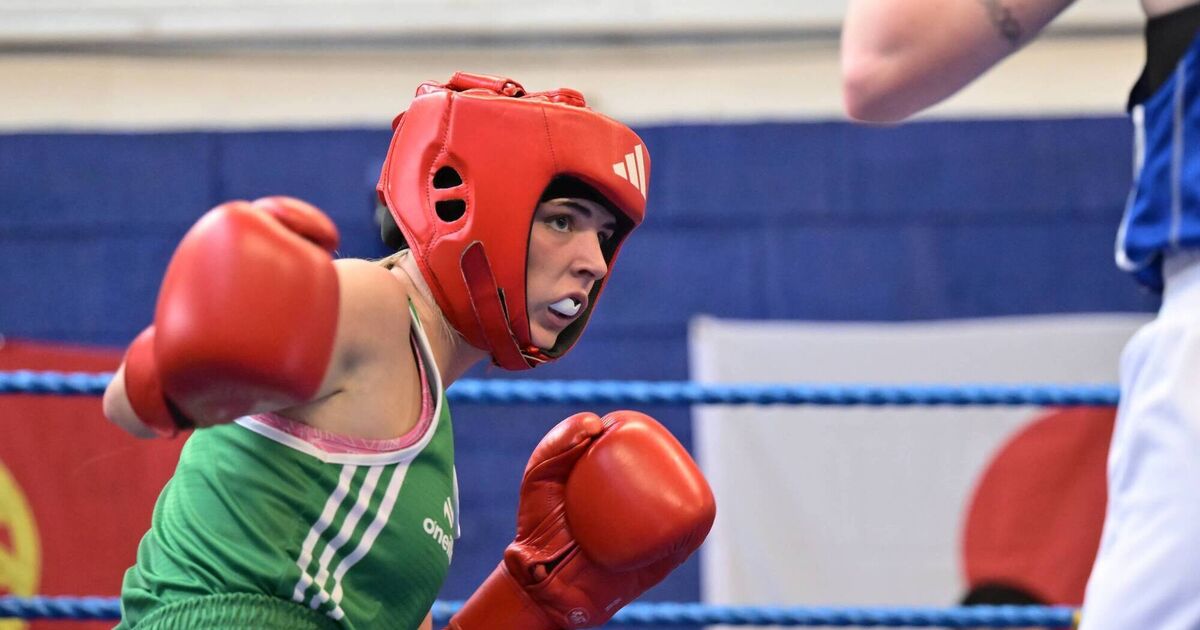 Cork Boxing: Two new tournaments added for Leeside clubs