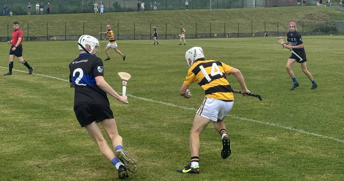 Supreme Sarsfields defeat Na Piarsaigh to secure semi-final spot in P1 ...