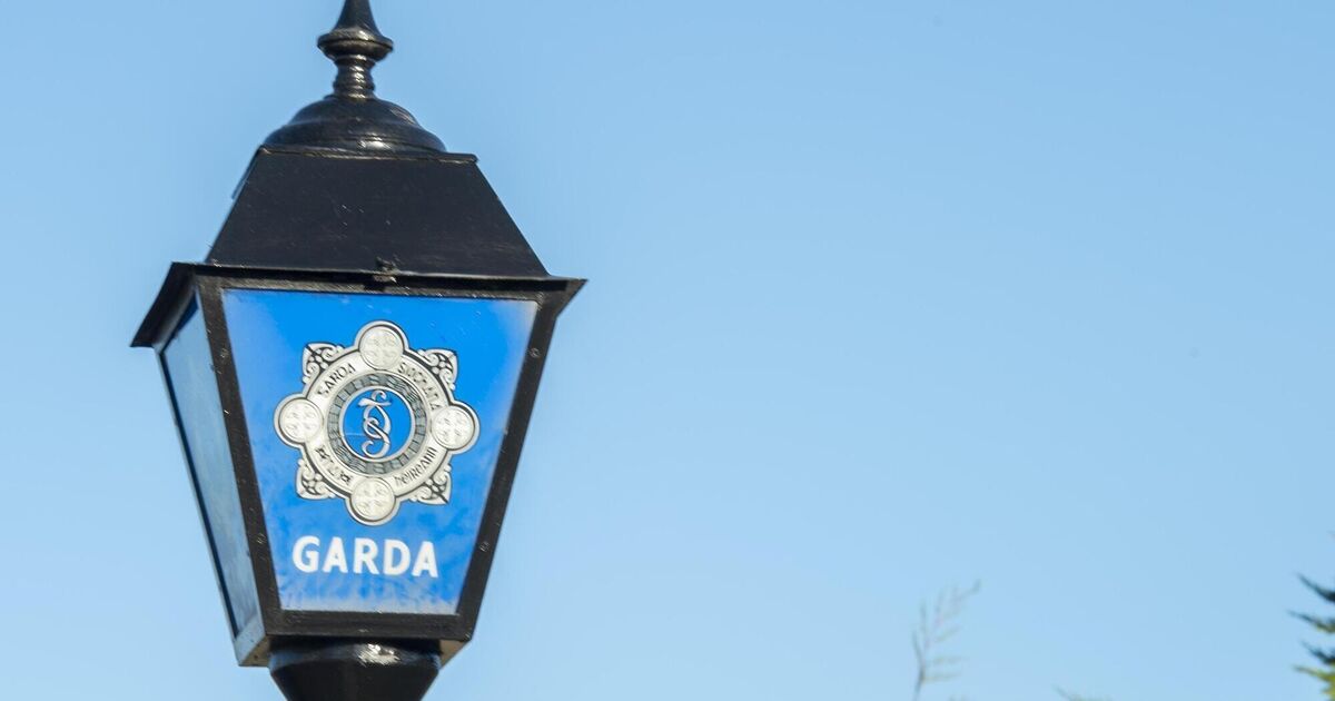 Council’s plan for old garda stations in county Cork