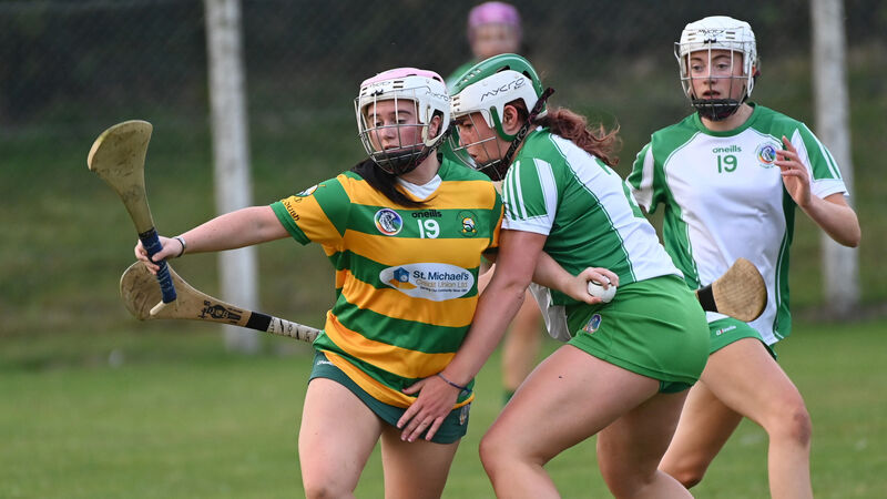 Cork Camogie: St Catherine's collide with Courcey as Blackrock face Seandún