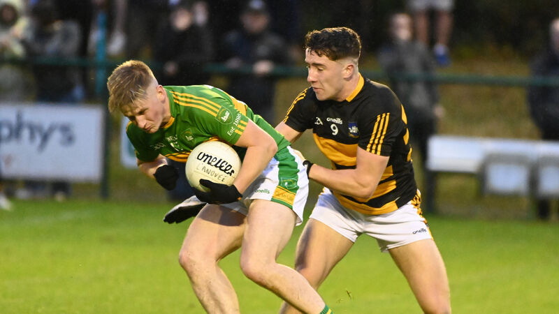 Canovee's spirit and workrate pleases manager John O'Brien in derby win ...