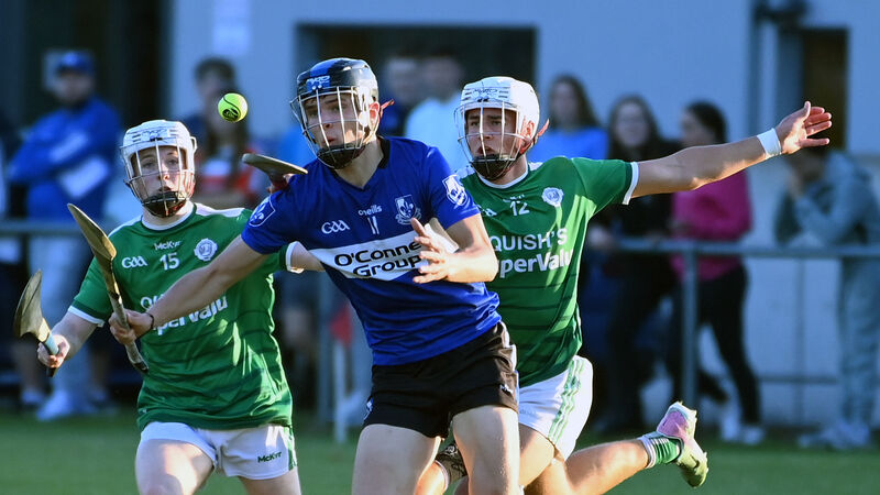 Premier 1 MHC: Adam Dunlea the star as Sarsfields advance to final
