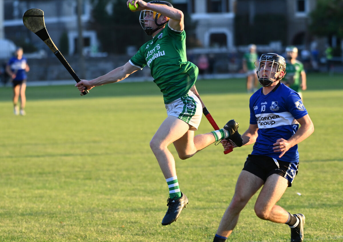 Premier 1 MHC: Adam Dunlea the star as Sarsfields advance to final