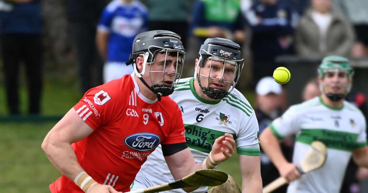 Cork club hurling relegation: Picking five clubs facing the drop