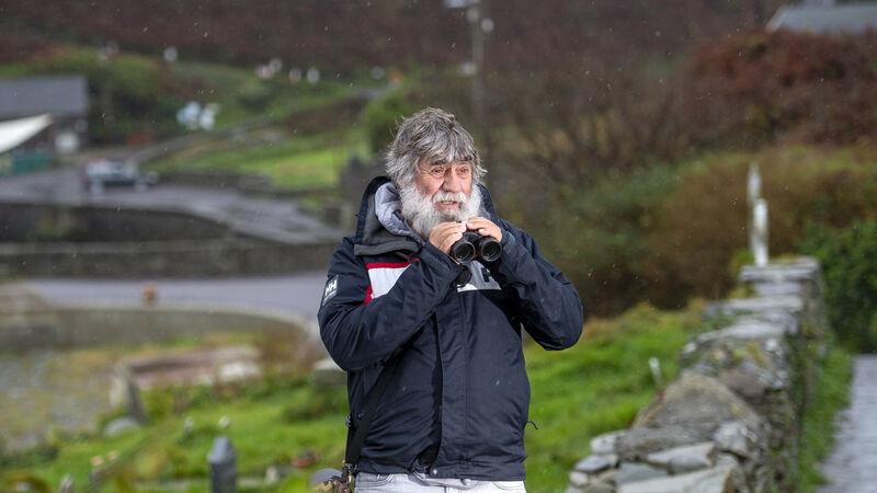 Tributes paid to Cape Clear Bird Observatory warden Steve Wing ...