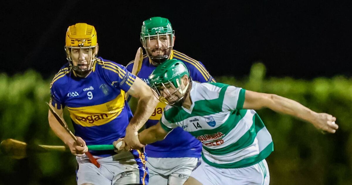 Seamus Harnedy and Darragh O'Brien shine as 14-man St Ita’s pip Bride ...