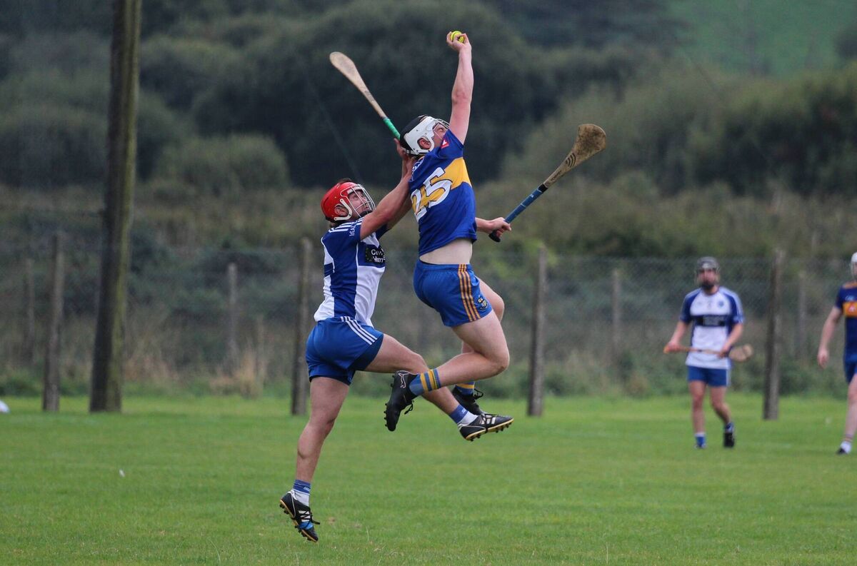 Belgooly beat Carrigaline after fiery South East Junior A Hurling clash