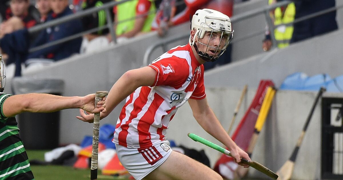 Christy O'Connor: Imokilly hurlers look to have most talent in loaded ...