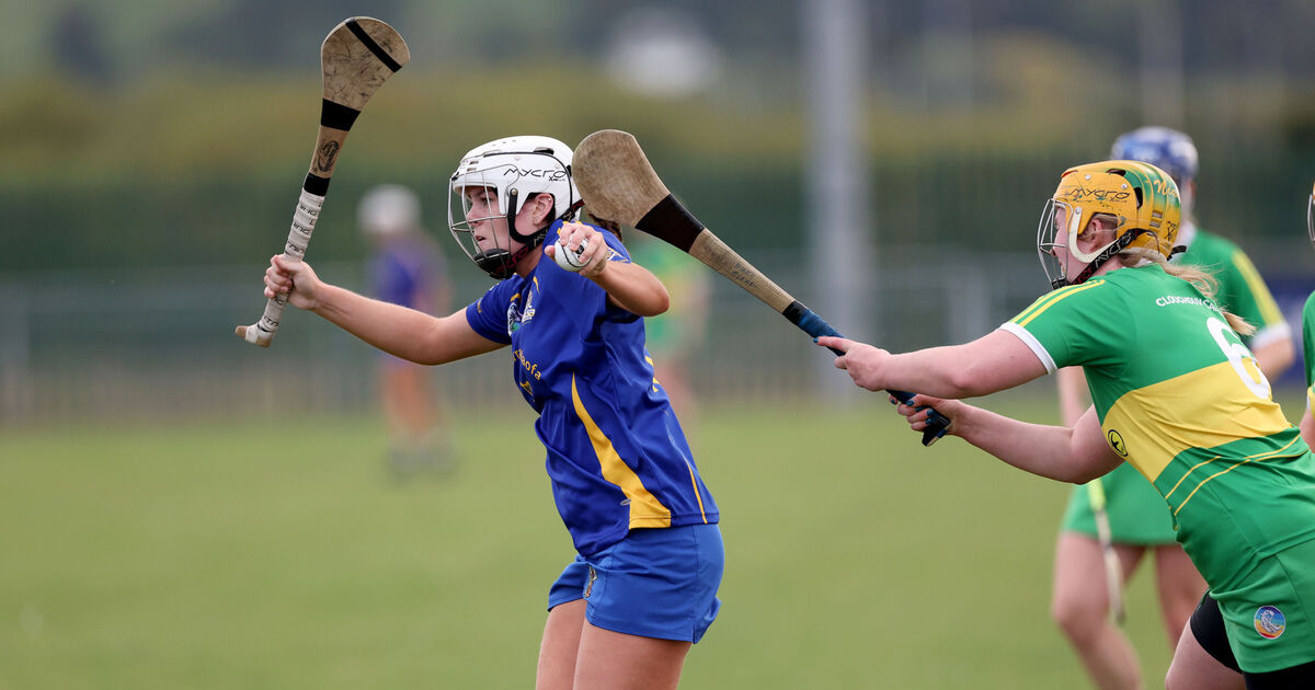 Camogie champions Sarsfields take on impressive St Finbarr's: Cork ...
