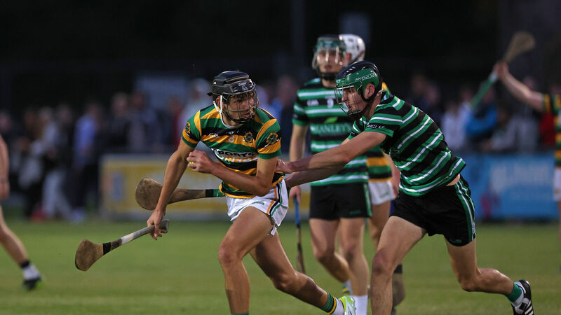 2024 Minor Hurling Championship Team of the Season