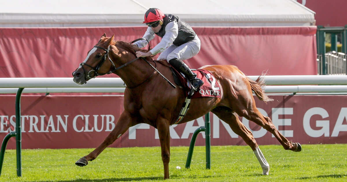 Cork Racing: Champions Day brings end to great flat racing season