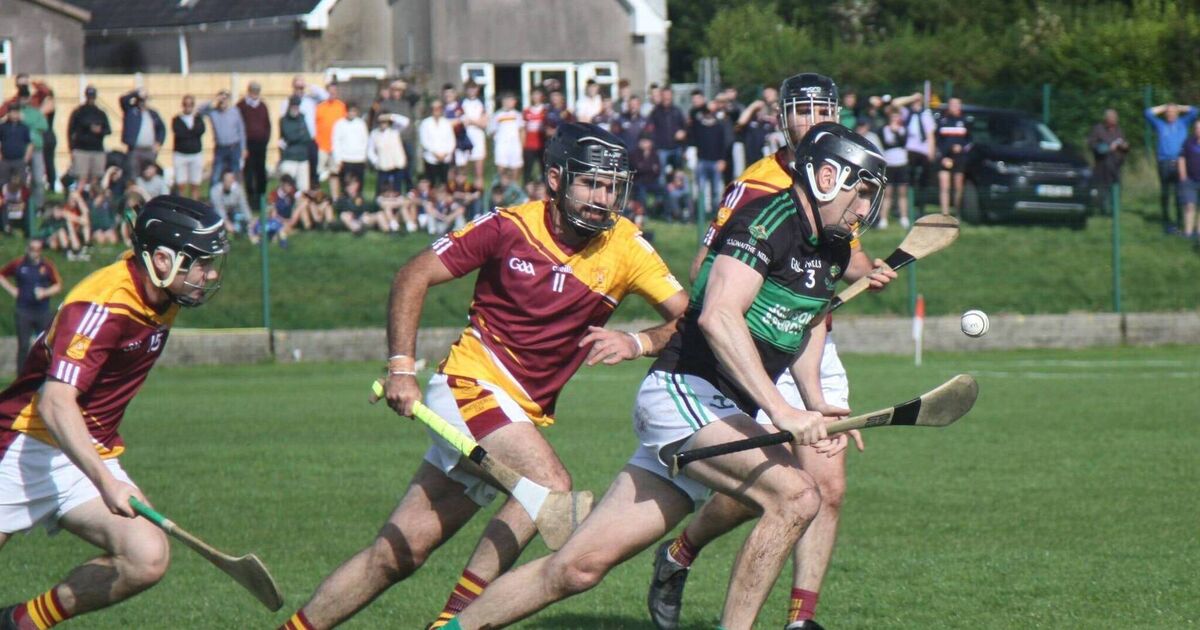 Junior A Hurling: Passage fancied after red card to key Whitechurch ...