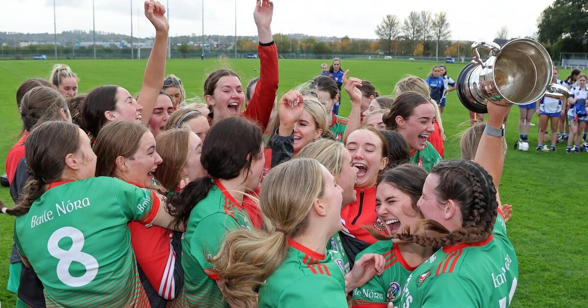 Brilliant Ballinora power past Ballinhassig to Premier Intermediate glory