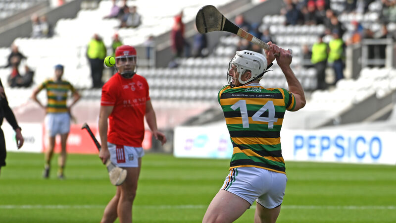 Patrick Horgan: There's not much to celebrate really, we're back where we're supposed to be