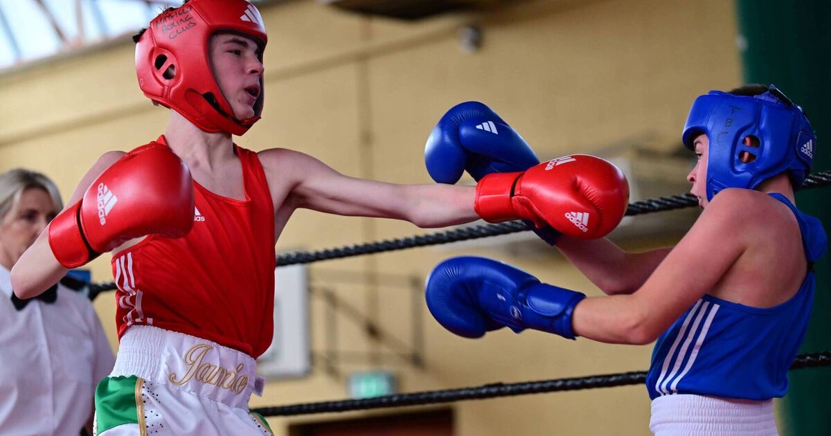 Mayfield Boxing Club stage a superb tournament