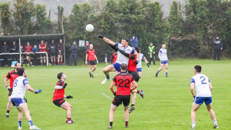 SAFC final: Knocknagree players going above and beyond in pursuit of ...