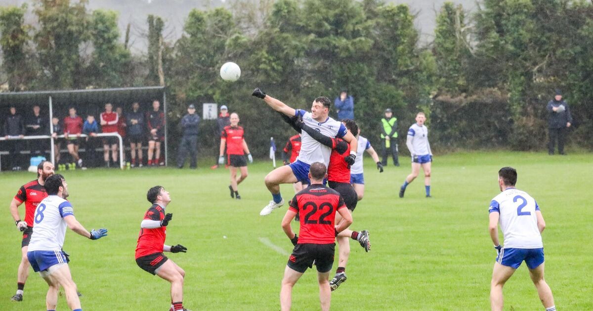 SAFC final: Knocknagree players going above and beyond in pursuit of ...