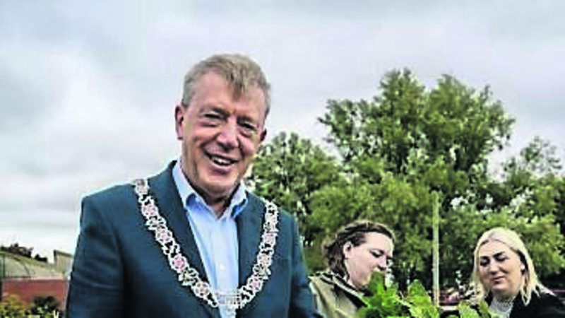 Fitzgerald to stand in Cork North Central for Fianna Fáil
