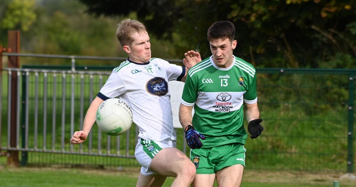 Tom Creedon Cup final preview: Macroom and Boherbue lock horns