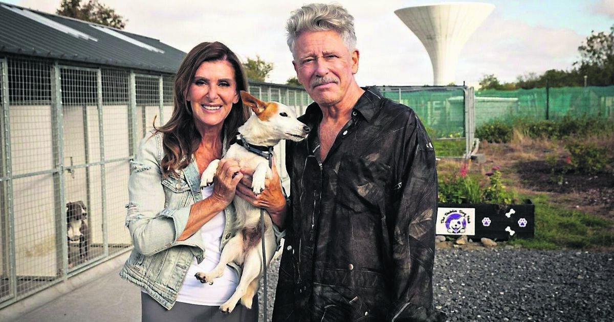 U2 star recalls the rise and fall of showbands