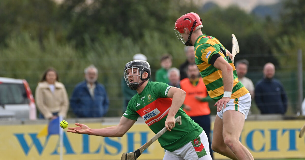 Net spread wide as Reardens Cork Club All-Star Hurling Team of the Year ...