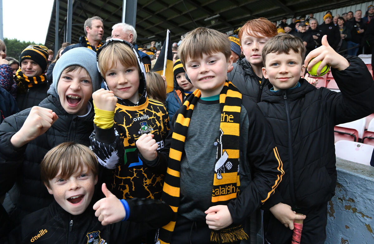 Russell Rovers and Watergrasshill set tone as Cork club hurling ruled ...