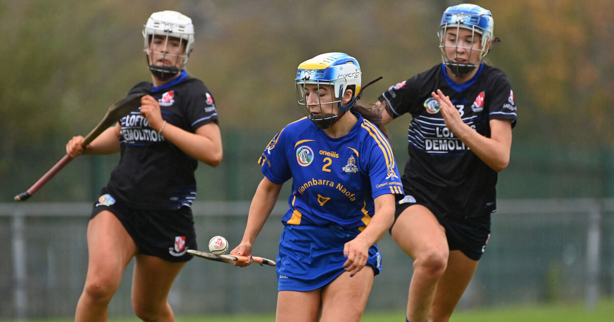 Barrs and Sars dominate Reardens Club Camogie All-Star 15