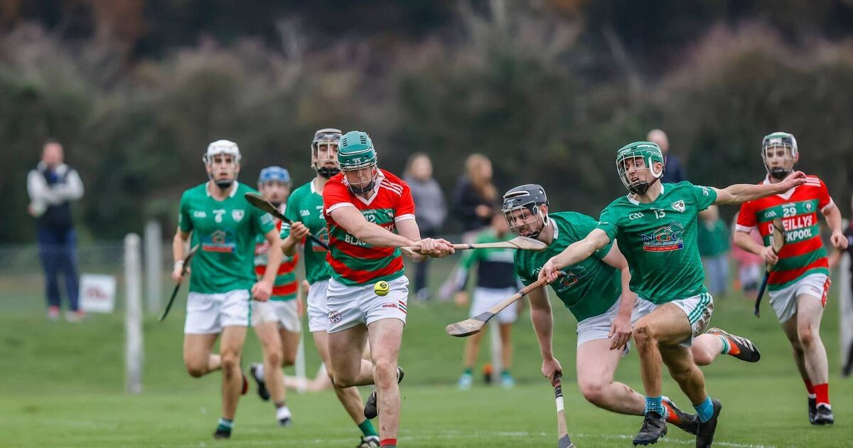 Imokilly division's year to remember but real need to grow referee pool ...