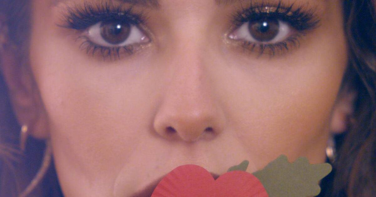An annual war of words... so who is right in poppy debate?