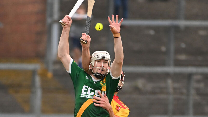 Rising Cork hurling stars help UL to Division 1 League title