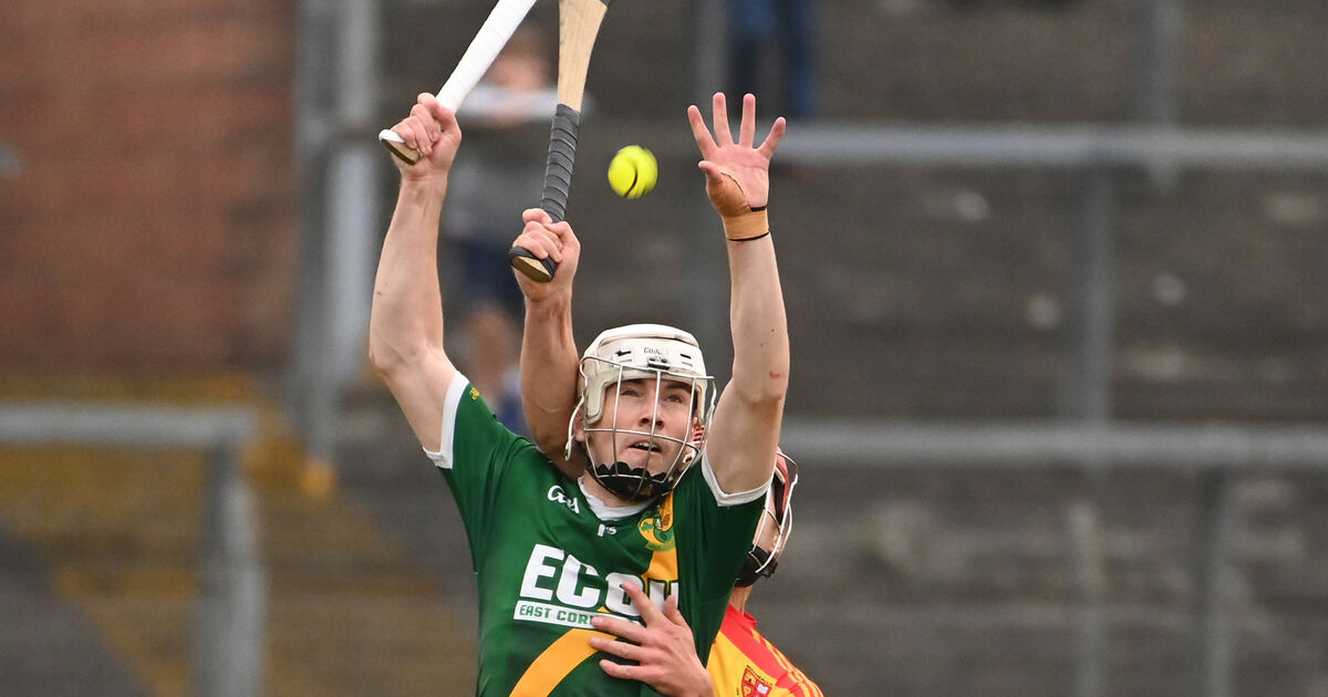 Rising Cork hurling stars help UL to Division 1 League title